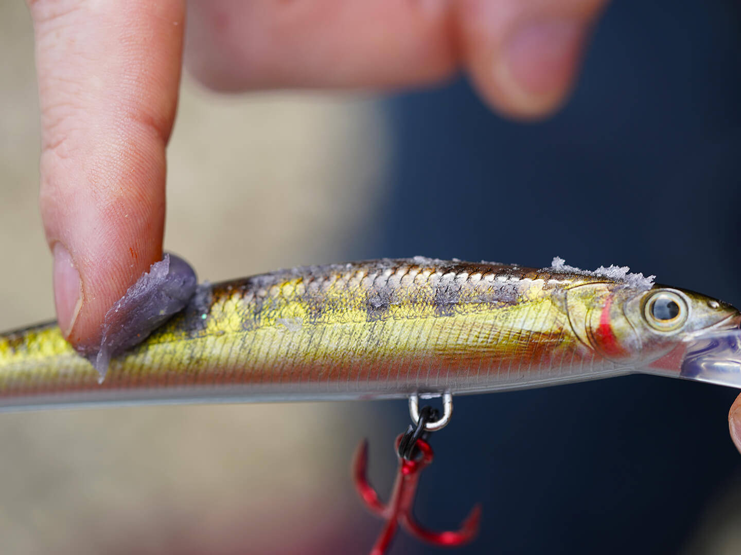 ATRAKTOR DO PRZYNĘT W ŻELU SPRO SMELL GEL - WORM UV | PRZYNĘTY ...